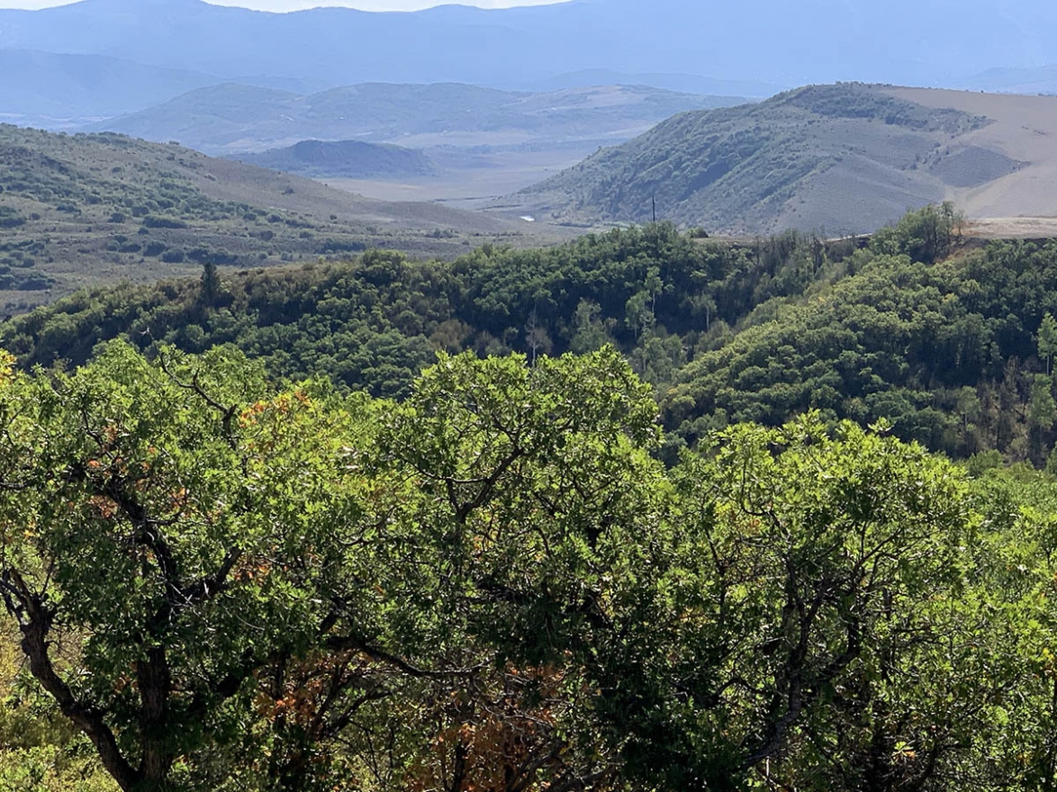 Property Overview Steamboat Springs Real Estate - Luxury - Elk Ranch Steamboat – Colorado ...